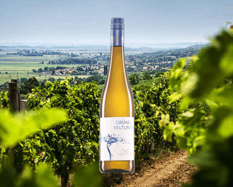 VinePair names Count Karolyi Gruner Veltliner 2021 one of the "10 Best ...